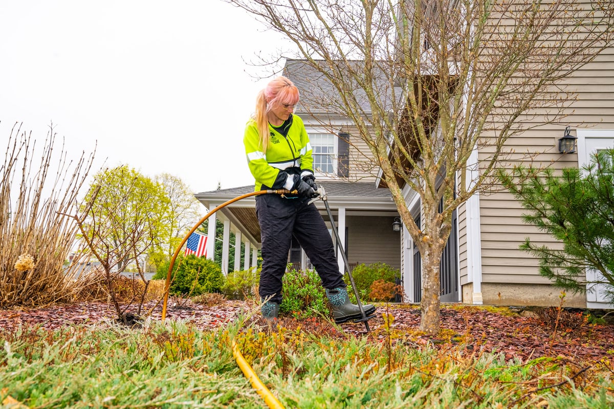 6 Essential Spring Tree Care Tasks for New England Landscapes